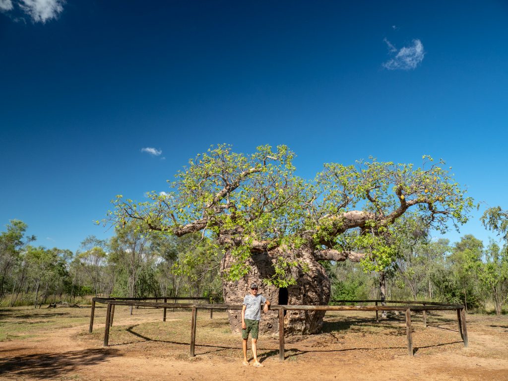 Prison Tree – Derby – trip around the world